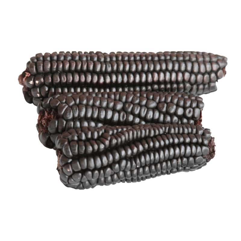 Maiz Morado (Peruvian Purple Corn) – ZHICAY FOODS